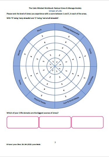 Stress & Anxiety: The Printable Workbook - 64 pages of CBT-based ...