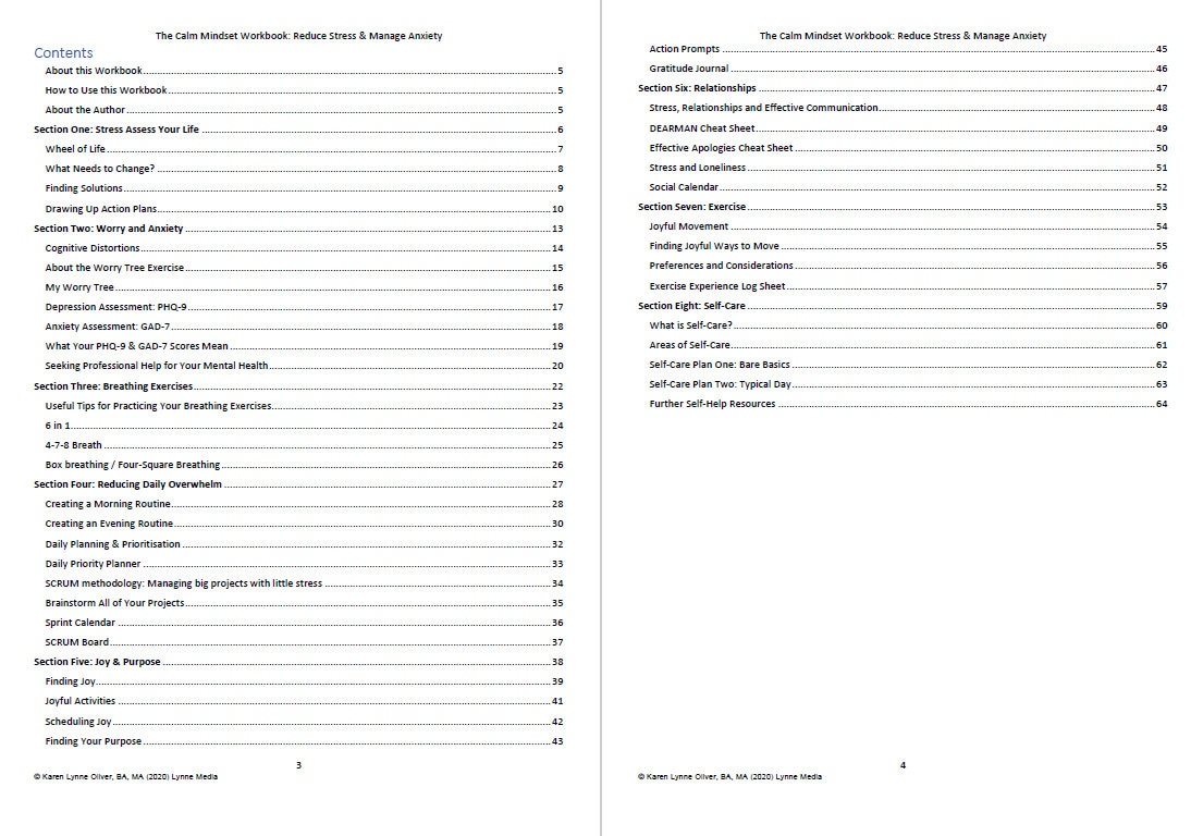 Stress & Anxiety: The Printable Workbook - 64 pages of CBT-based ...