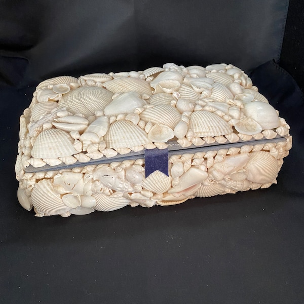Seashell Jewelry Box - Etsy