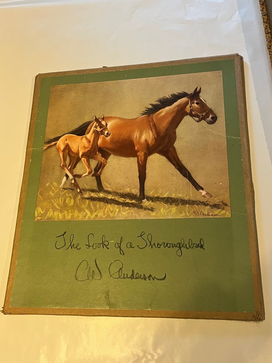 C W Anderson Lithograph Prints ,the Look of a Thoroughbred. - Etsy