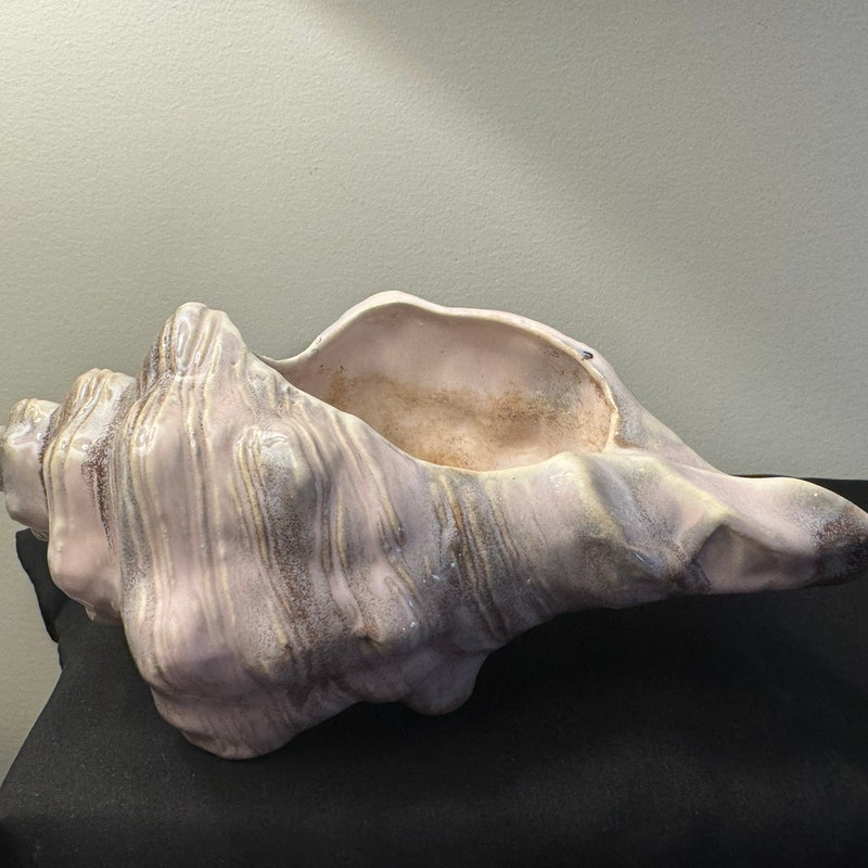 Conch Shell Planter - Etsy