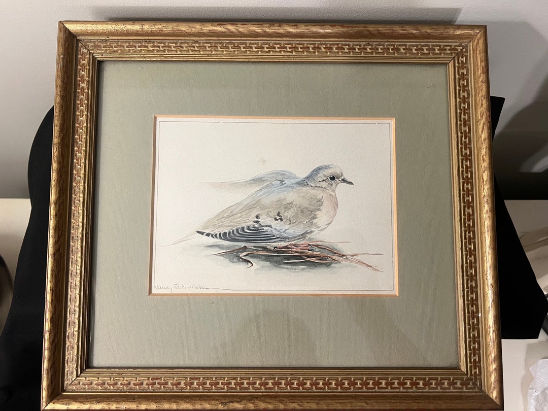 Original Nancy Ricker Webb Dove Bird Signed Watercolor - Etsy