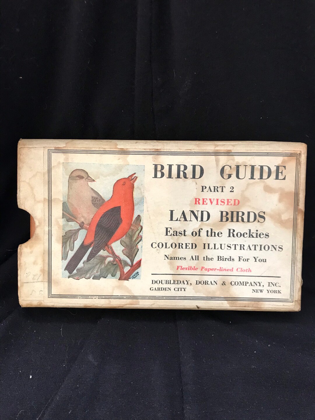 Antique Bird Guide Part Two ,east of the Rockies Colored Illustrations ...