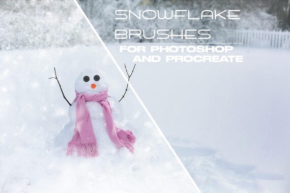 Snowflake Brushes Set / Set of 18 Photoshop and Procreate - Etsy