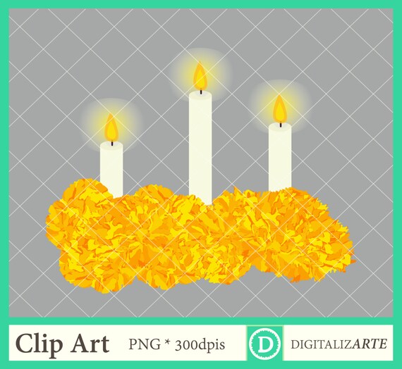 Flores De Cempasúchil Png - Imágenes De Flores