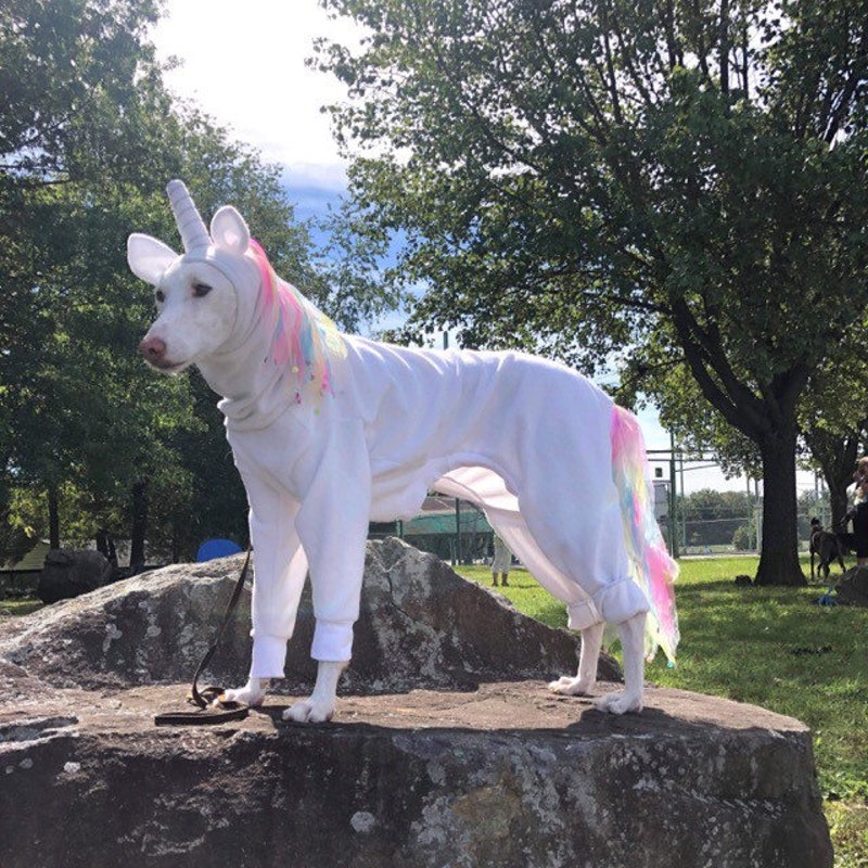 Unicorn Pet Costume - Etsy