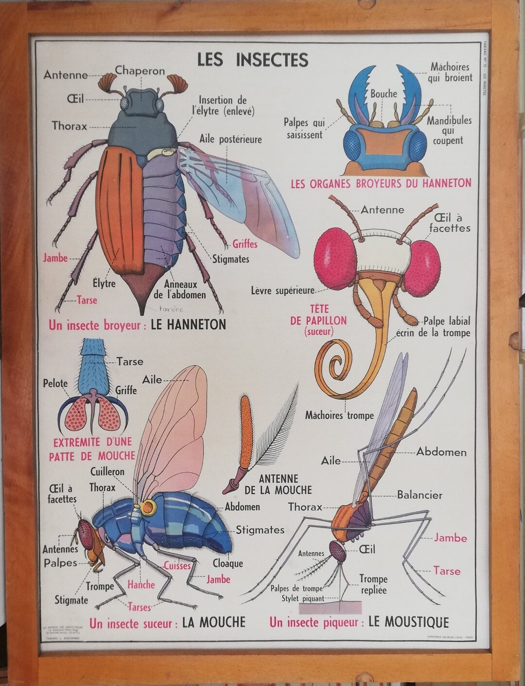 Old Science School Poster - Etsy