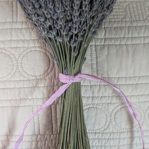 Lavender Bouquets, Hand Harvested and Put Together With Much Care. - Etsy