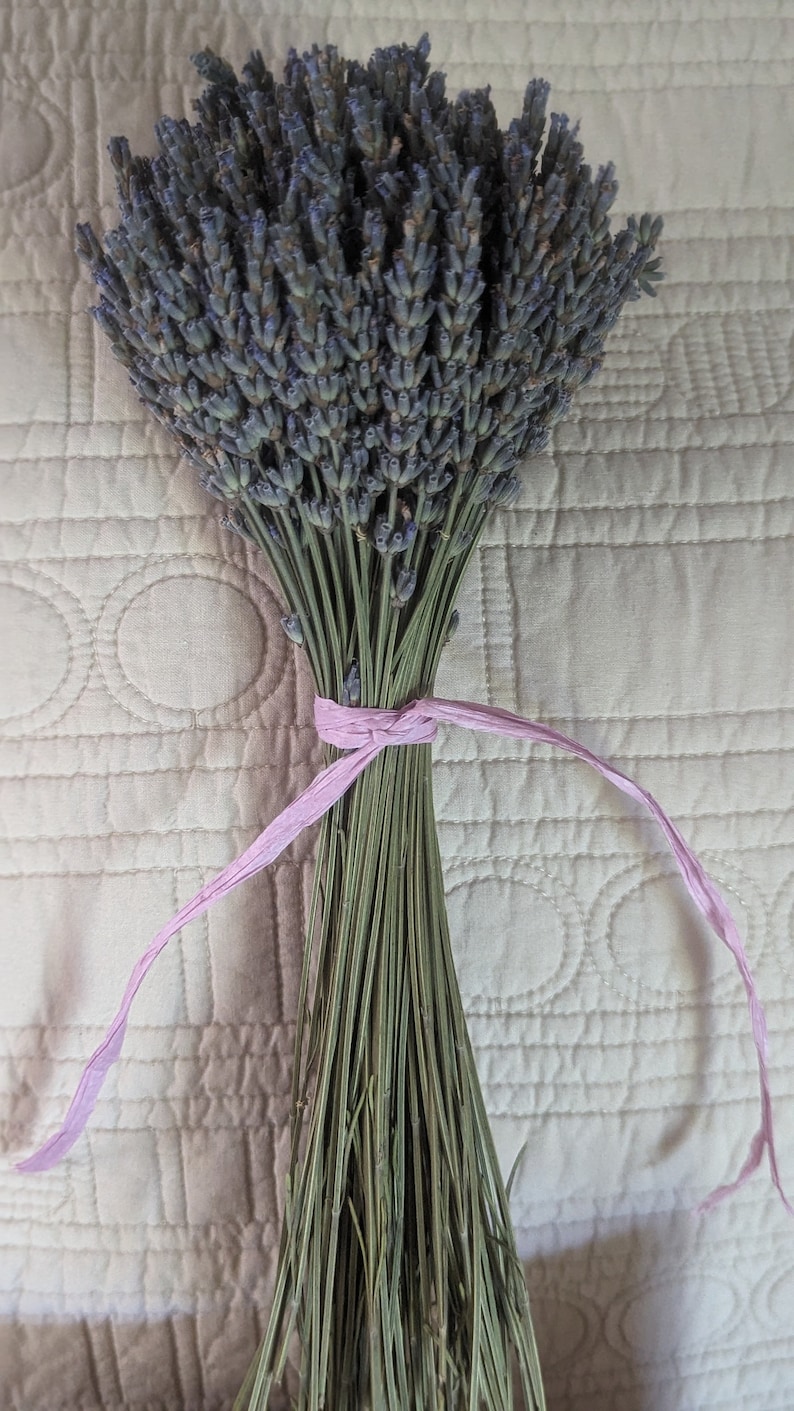 Lavender Bouquets, Hand Harvested and Put Together With Much Care. - Etsy