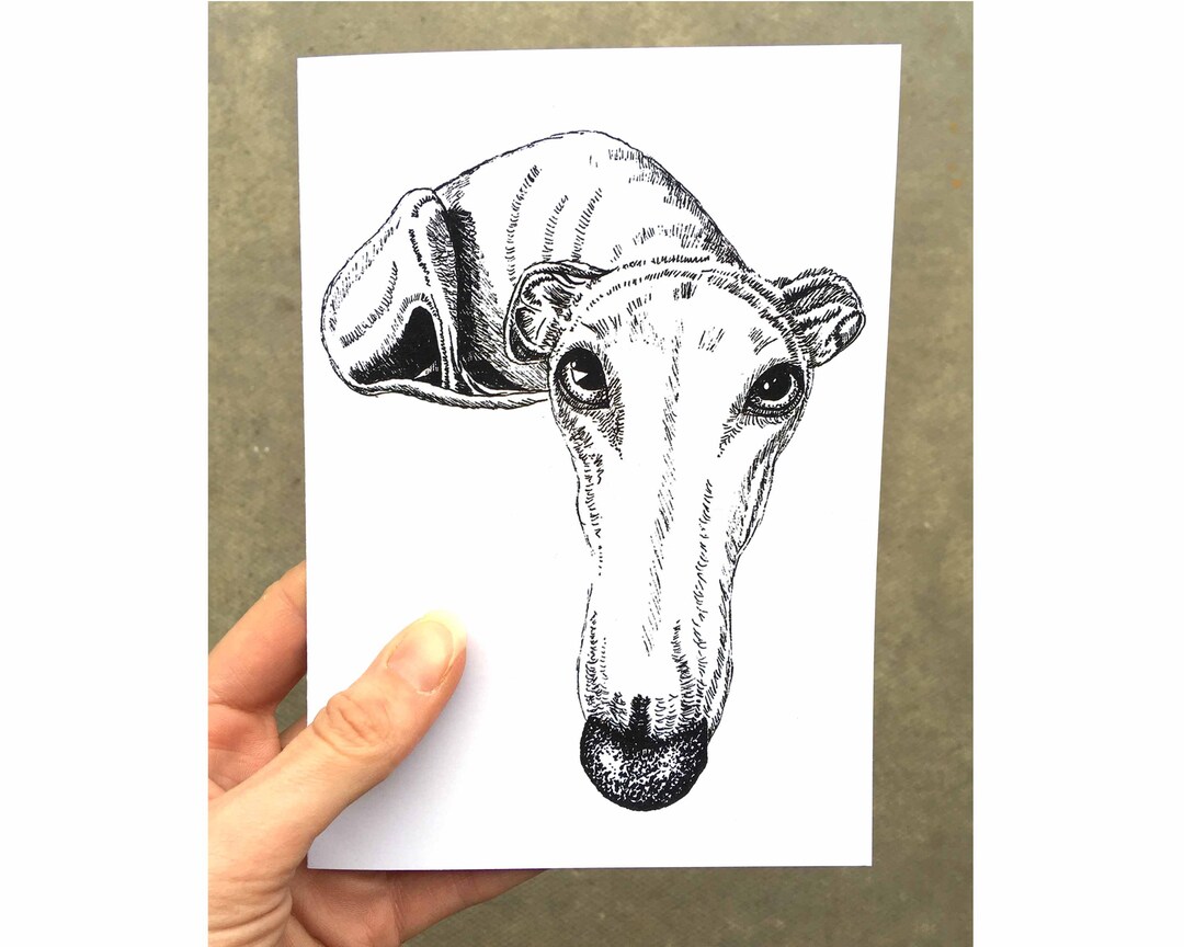 Funny Whippet Dog Greeting Card, Pen Sketch Art - Etsy