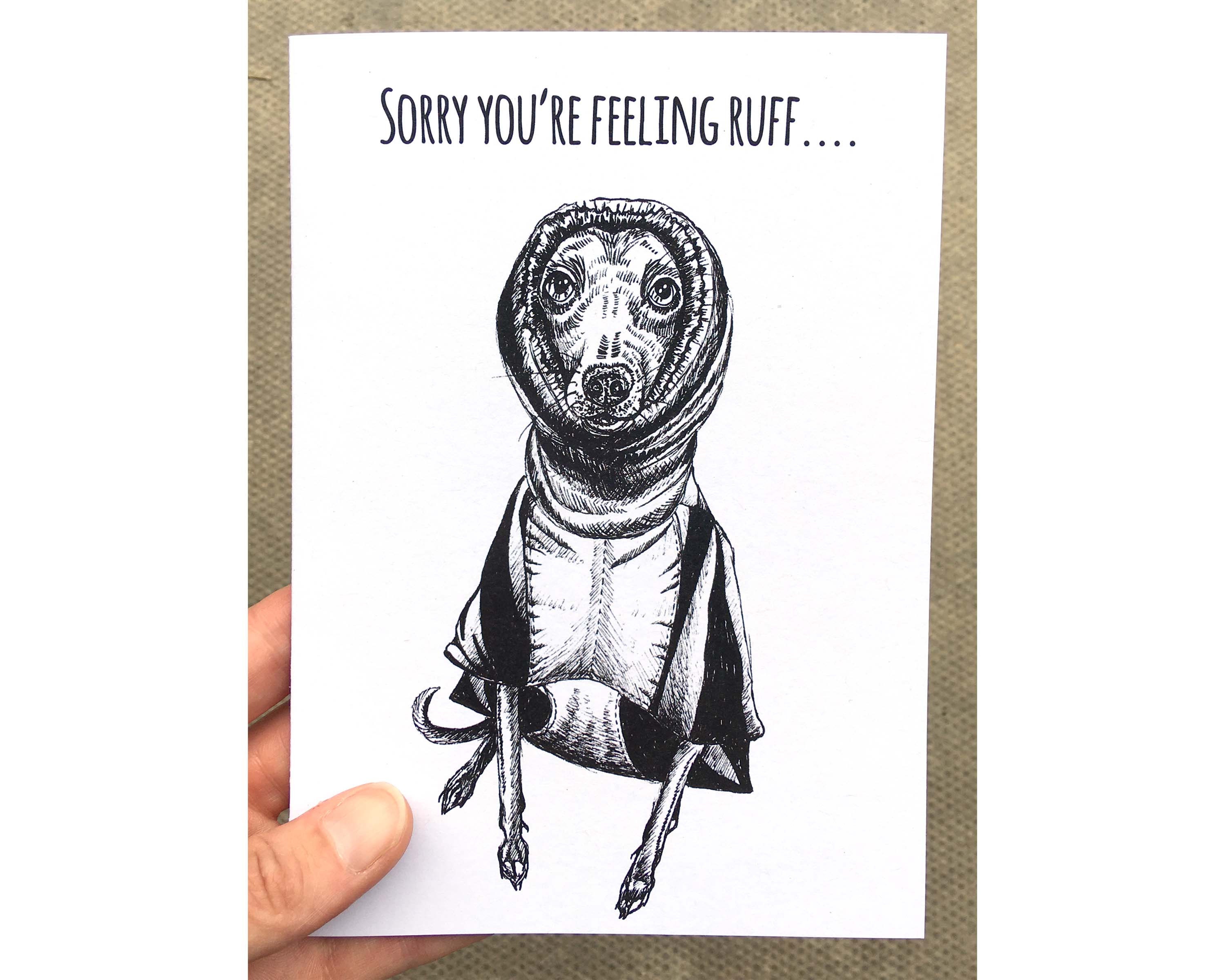 Whippet Get Well Card, Dog Lover Gift - Etsy