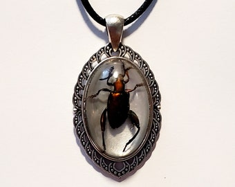 Beetle Pendant, Flower Beetle, Gold Flower Beetle, Bug Jewelry, Beetle ...