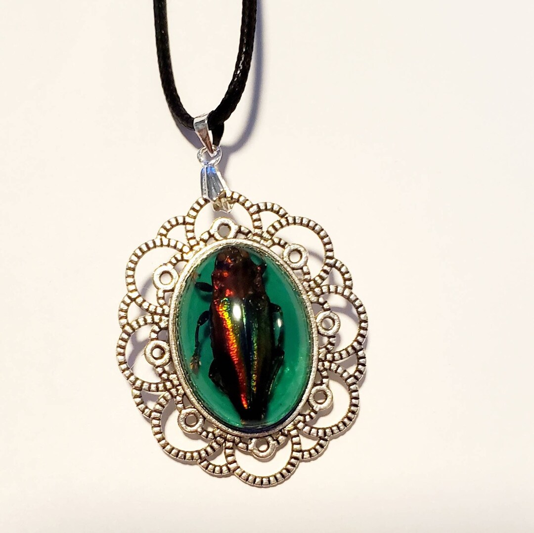 Beetle Necklace, Cameo, Pin, Rainbow Bug, Insect Jewelry, Beetle ...