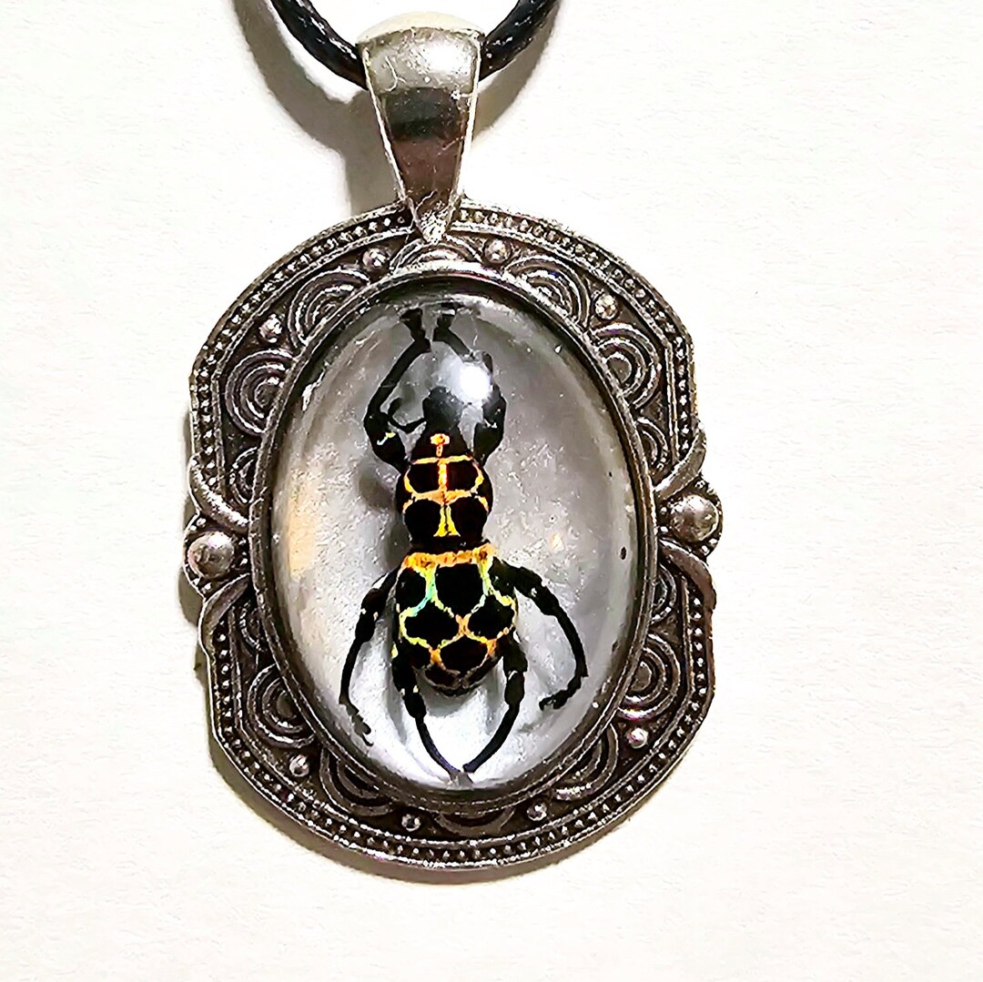 Weevil, Bug in Resin, Beetle Necklace, Bug Jewelry, Bug Necklace ...