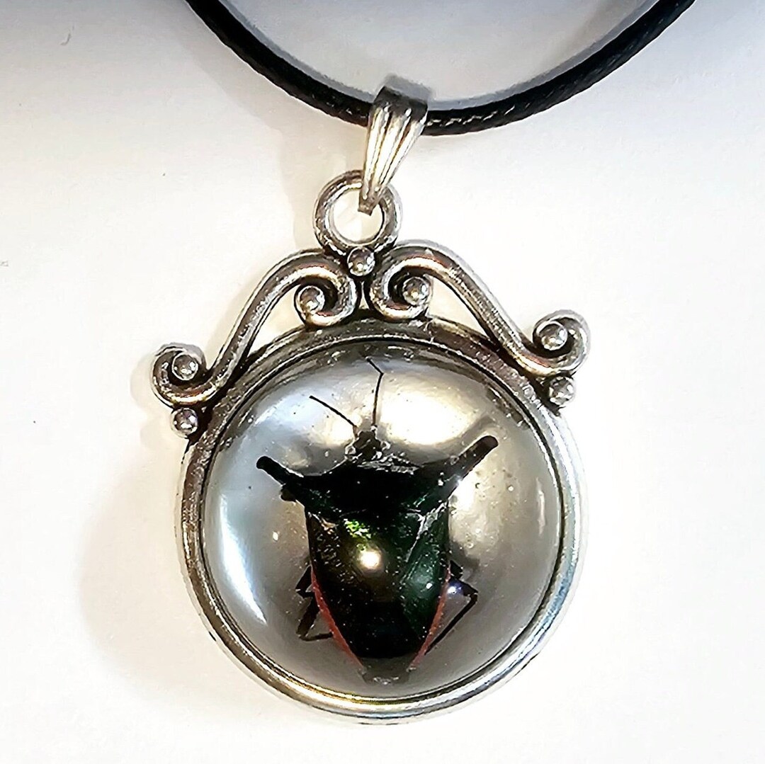 Beetle Jewelry, Shiny Hemiptera Beetle Necklace, Bug in Resin, Beetle ...