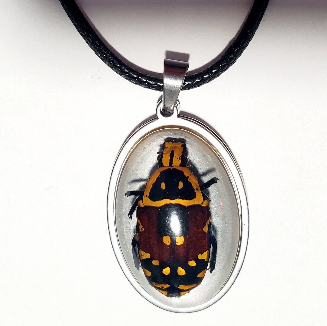 Madagascar Beetle, Bug Necklace, Insect Pendant, Orange Beetle, Bug ...