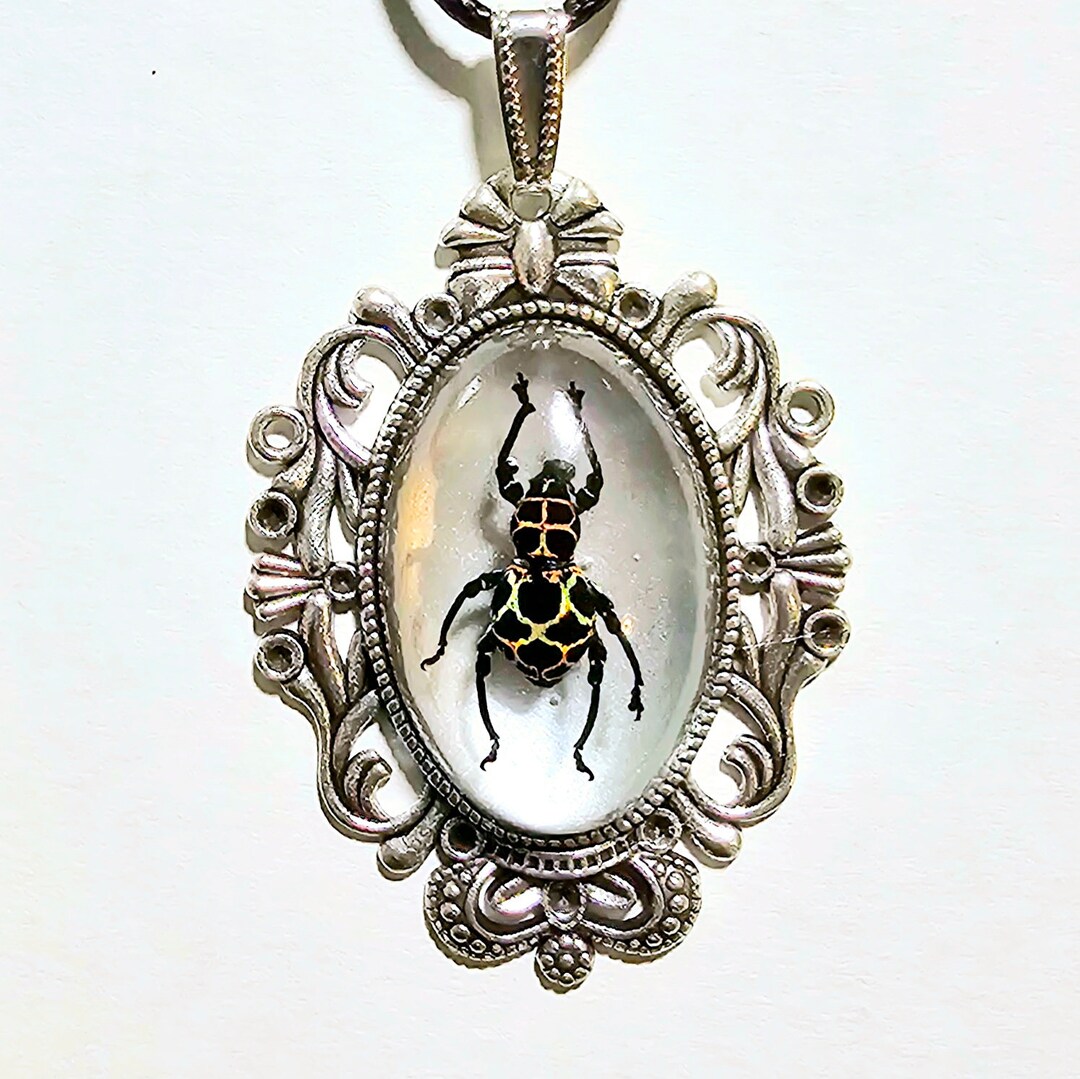 Rainbow Weevil, Bug in Resin, Beetle Necklace, Bug Jewelry, Bug ...
