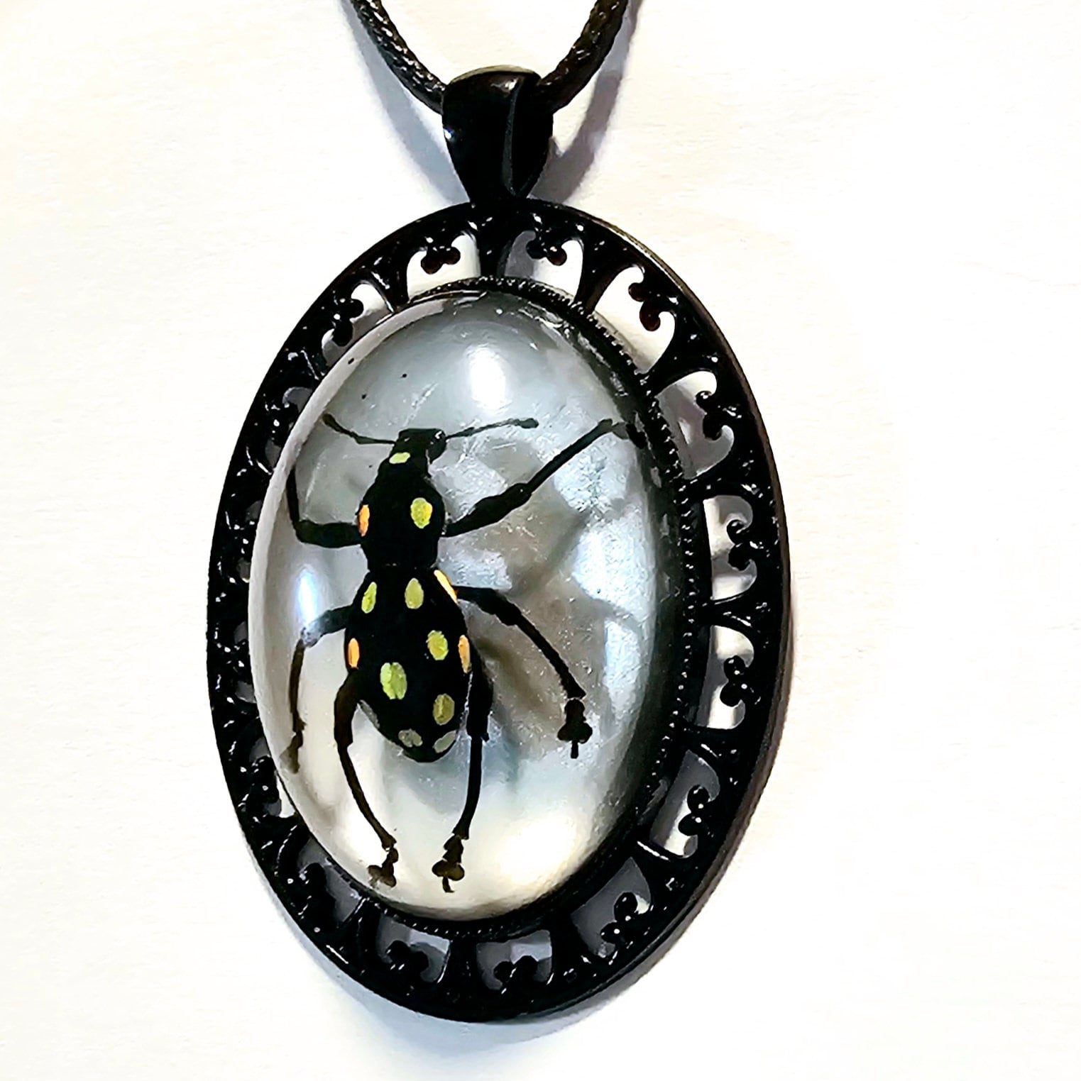 Weevil Jewelry, Real Beetle, Beetle Necklace, Insect Pendant, Bug ...