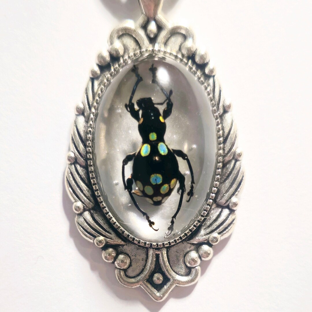 Weevil, Beetle Necklace, Bug Jewelry, Insect Pendant, Bug Necklace ...