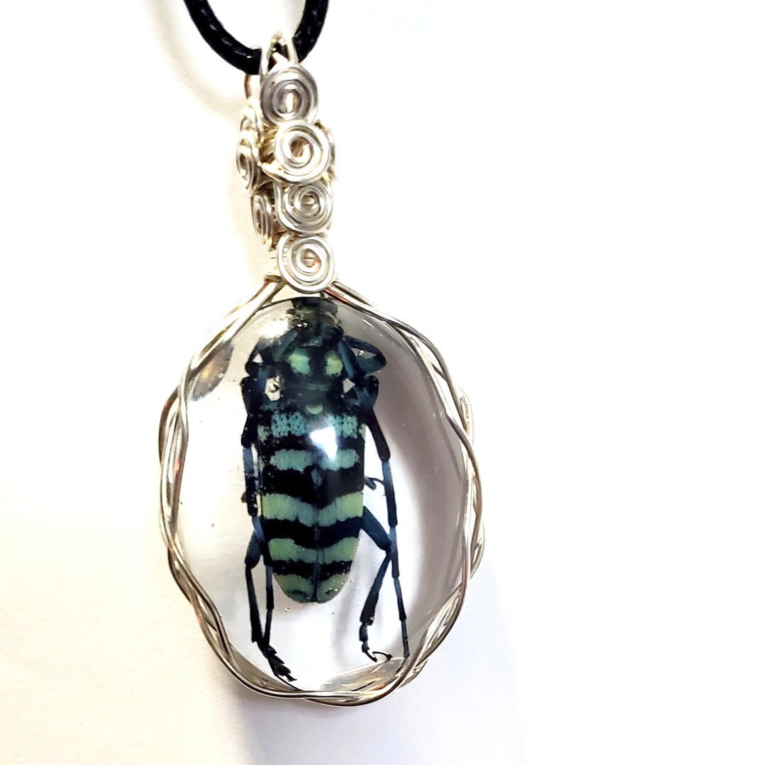 Beetle Necklace, Longhorn Beetle, Bug Jewelry, Insect Pendant, Bug ...