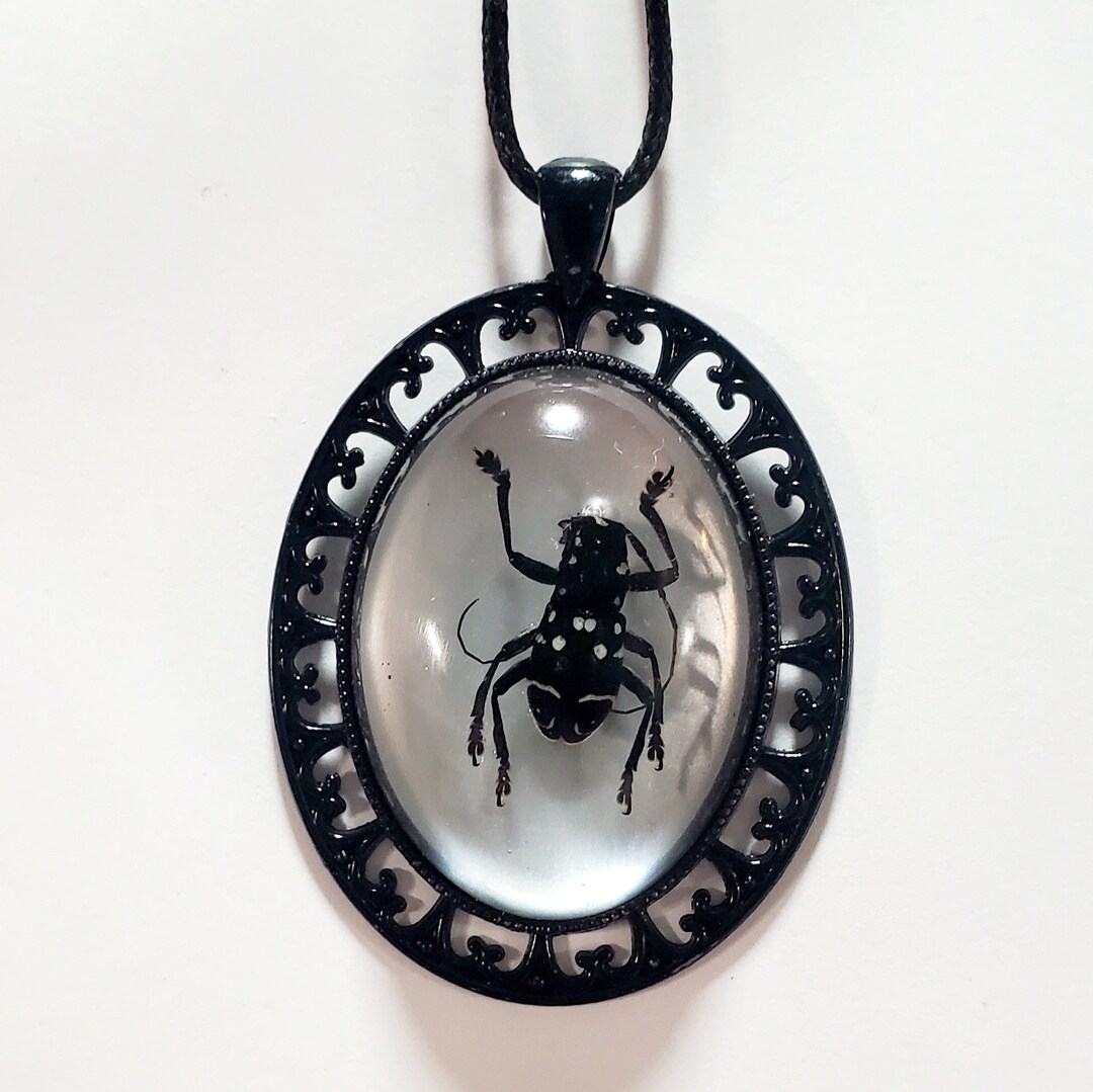 Beetle Jewelry, Longhorn Beetle, Beetle Necklace, Bug Jewelry, Insect ...