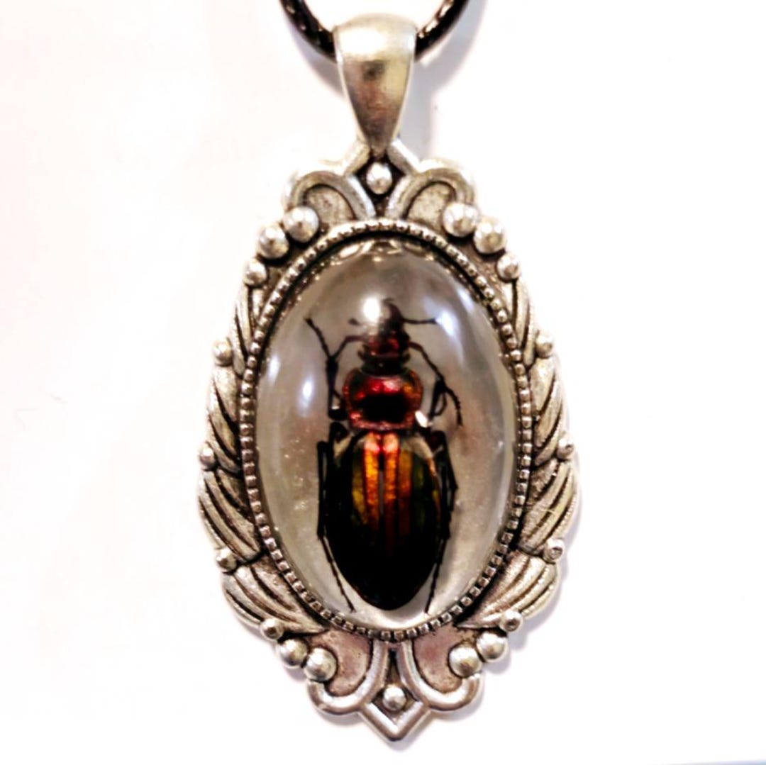 Beetle Jewelry, Scarab Beetle, Bug Necklace, Bug Jewelry, Beetle ...