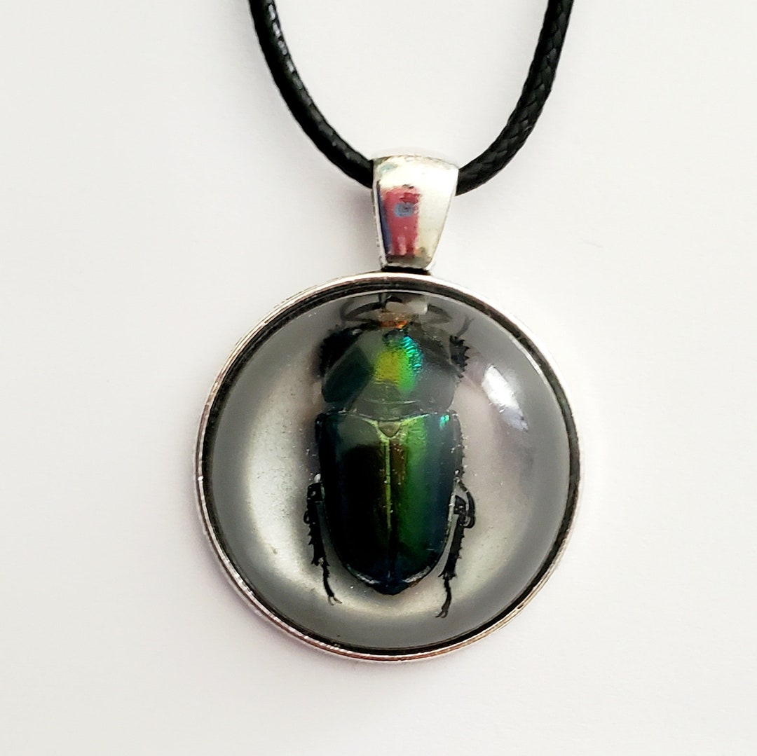 Beetle Jewelry, Beetle Necklace, Bug Jewelry, Beetle in Resin, Female ...