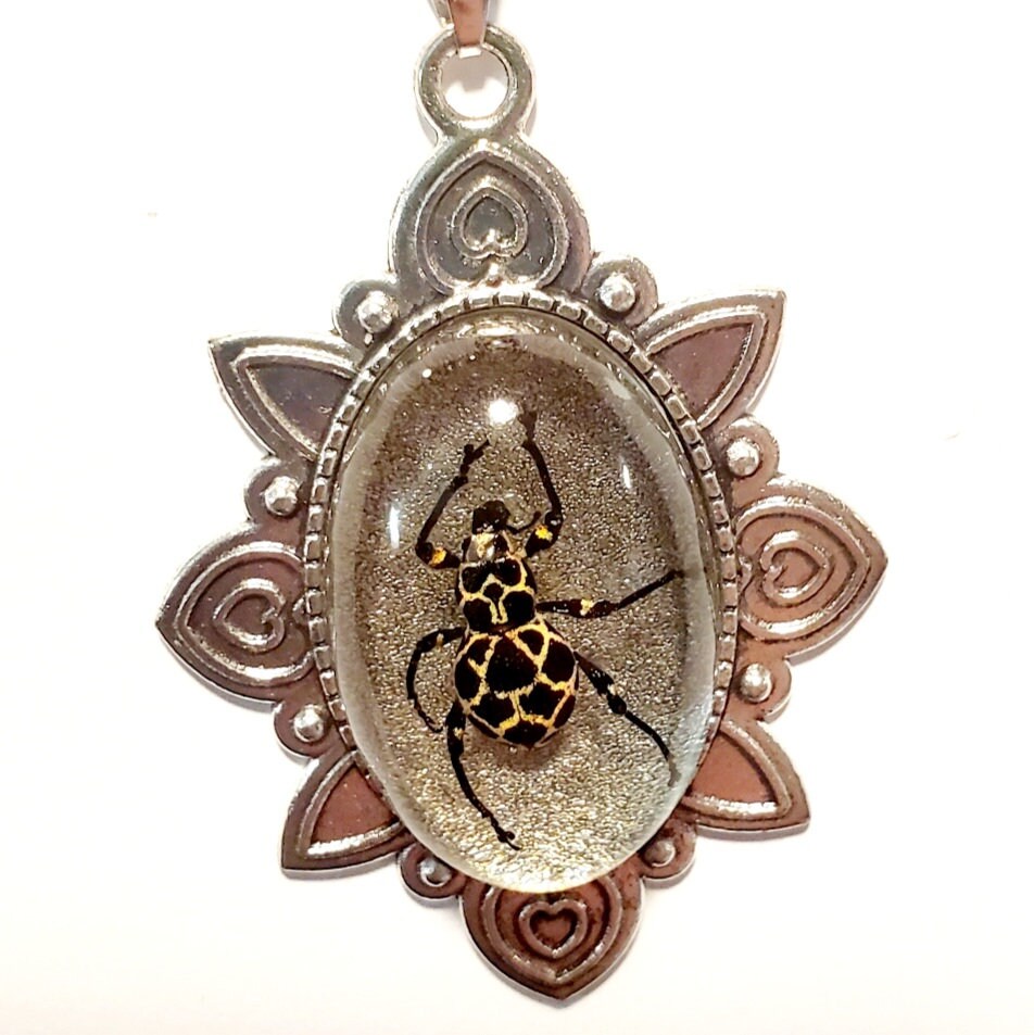 Weevil, Beetle Necklace, Bug Jewelry, Insect Pendant, Bug Necklace ...