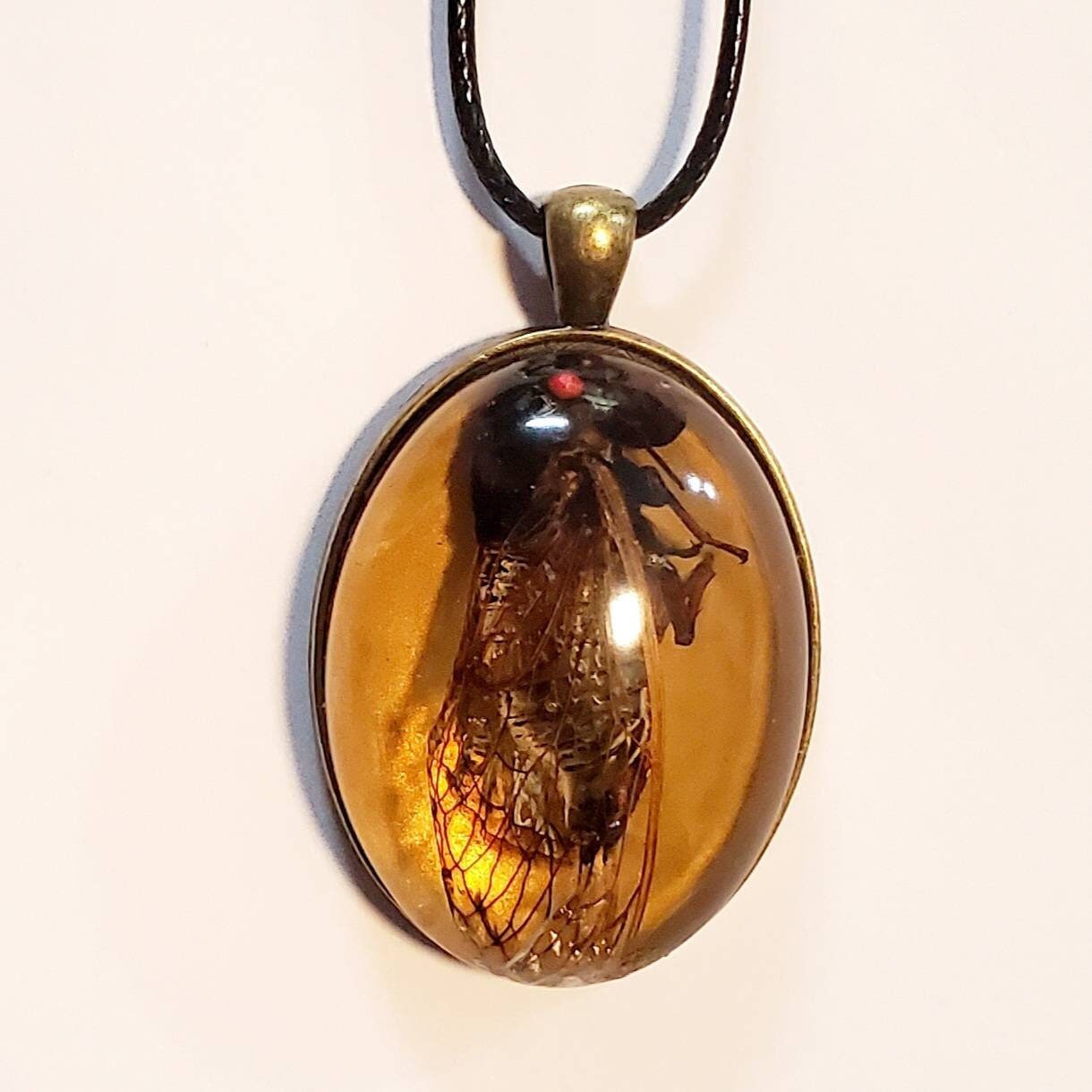 Cicada Necklace Brood X 2021 Cicada Jewelry Brood X - Etsy