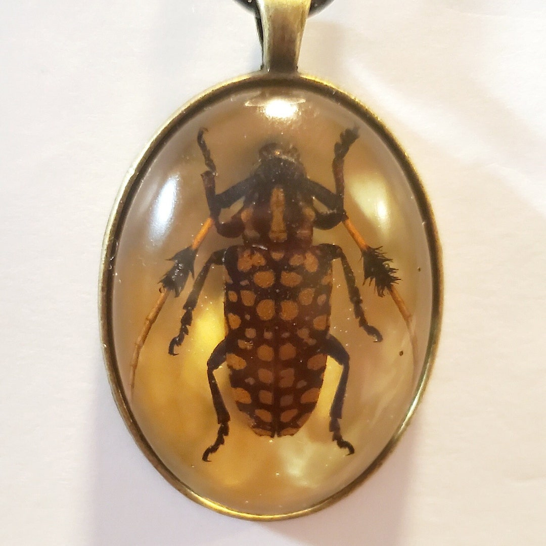 Beetle Necklace, Longhorn Beetle, Beetle Jewelry, Bug Jewelry, Insect ...
