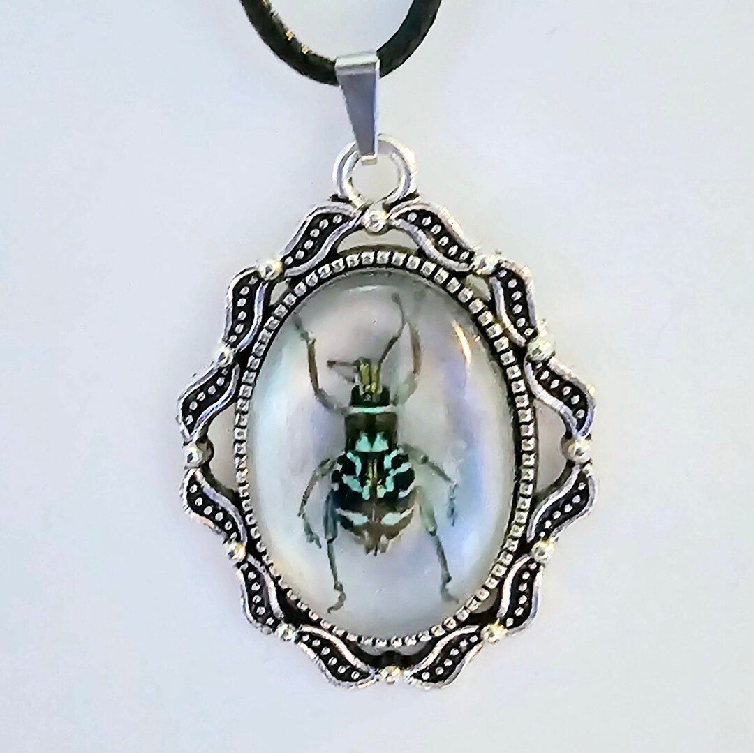 Weevil, Weevil Necklace, Bug Jewelry, Insect Pandant, Bug Necklace ...
