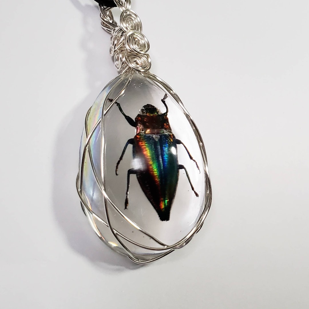 Beetle Necklace, Rainbow Bug, Insect Jewelry, Beetle Jewelry, Rainbow ...