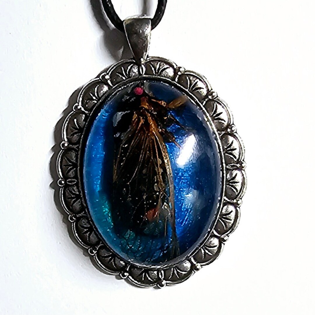 Cicada Jewelry, Cicada Resin, Cicada Necklace, Cicada Pendant, Brood X ...