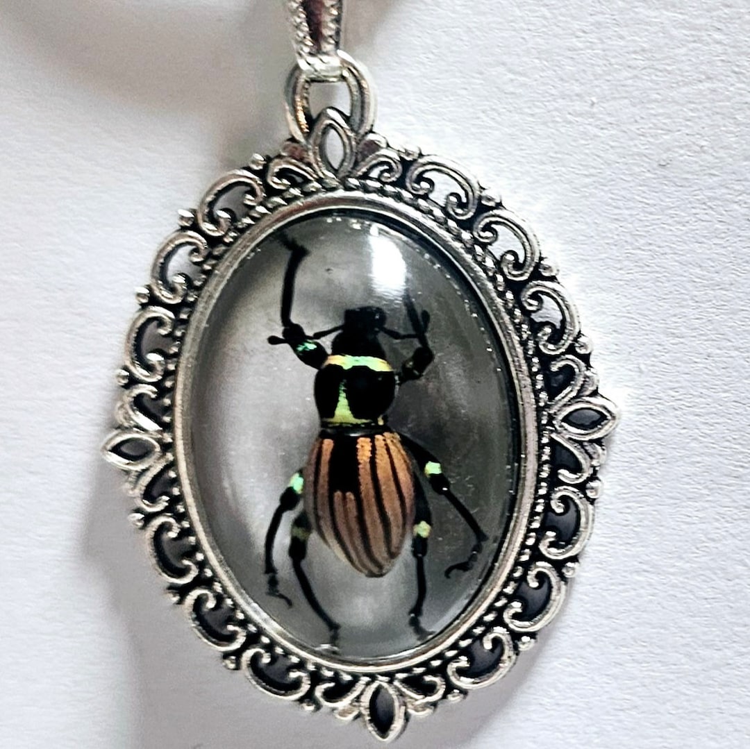 Weevil, Weevil Necklace, Bug Jewelry, Insect Pandant, Bug Necklace ...