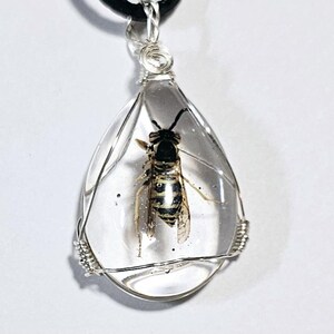 Bee Necklace, Insect Pendant, Bee Jewelry, Bee Pendant, Insect Jewelry ...
