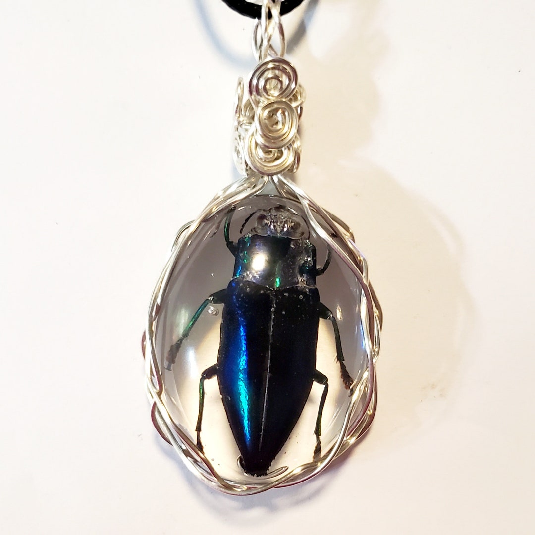 Blue Beetle Necklace, Real Beetle, Jewel Beetle, Real Bug in Resin, Bug ...