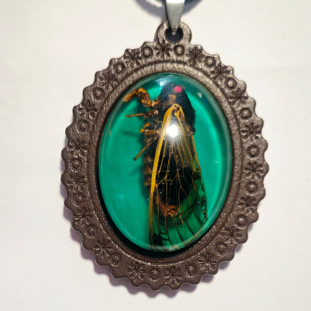 Cicada Necklace, Cicada Pendant, Brood X Cicada, Cicada Jewelry, Brood ...