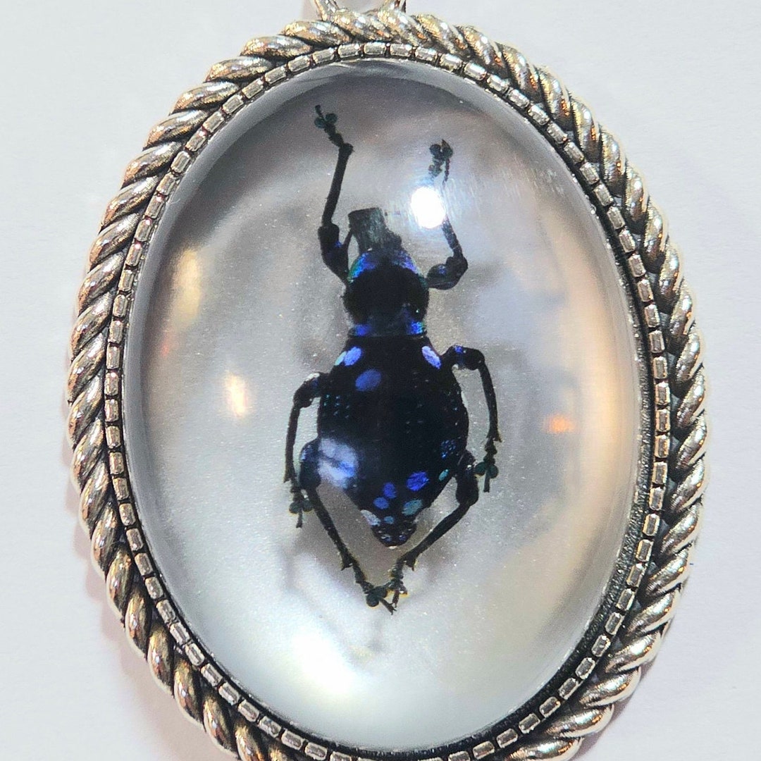 Weevil, Beetle Necklace, Bug Jewelry, Beetle Jewelry, Insect Pendant ...