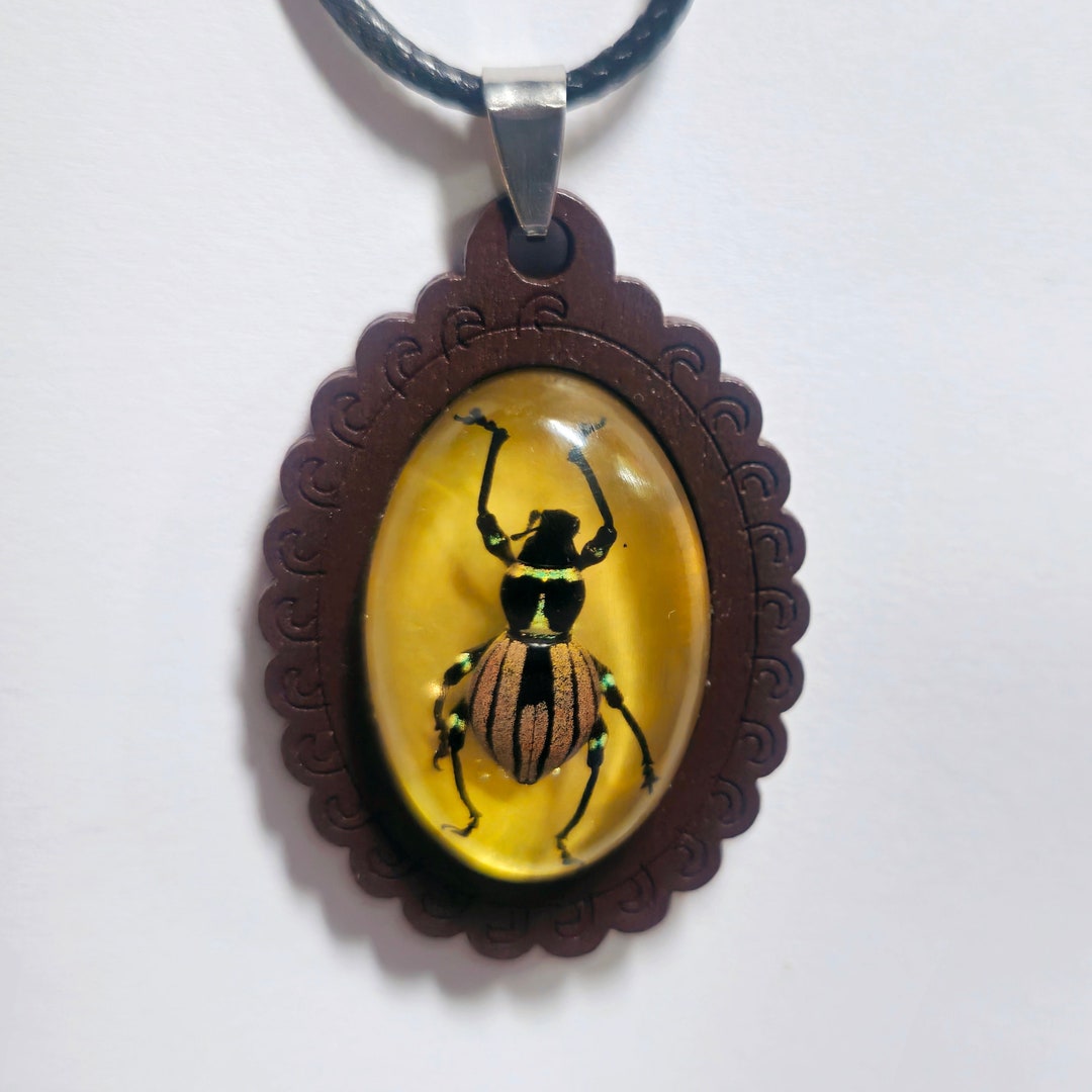 Weevil, Weevil Necklace, Bug Jewelry, Insect Pandant, Bug Necklace ...
