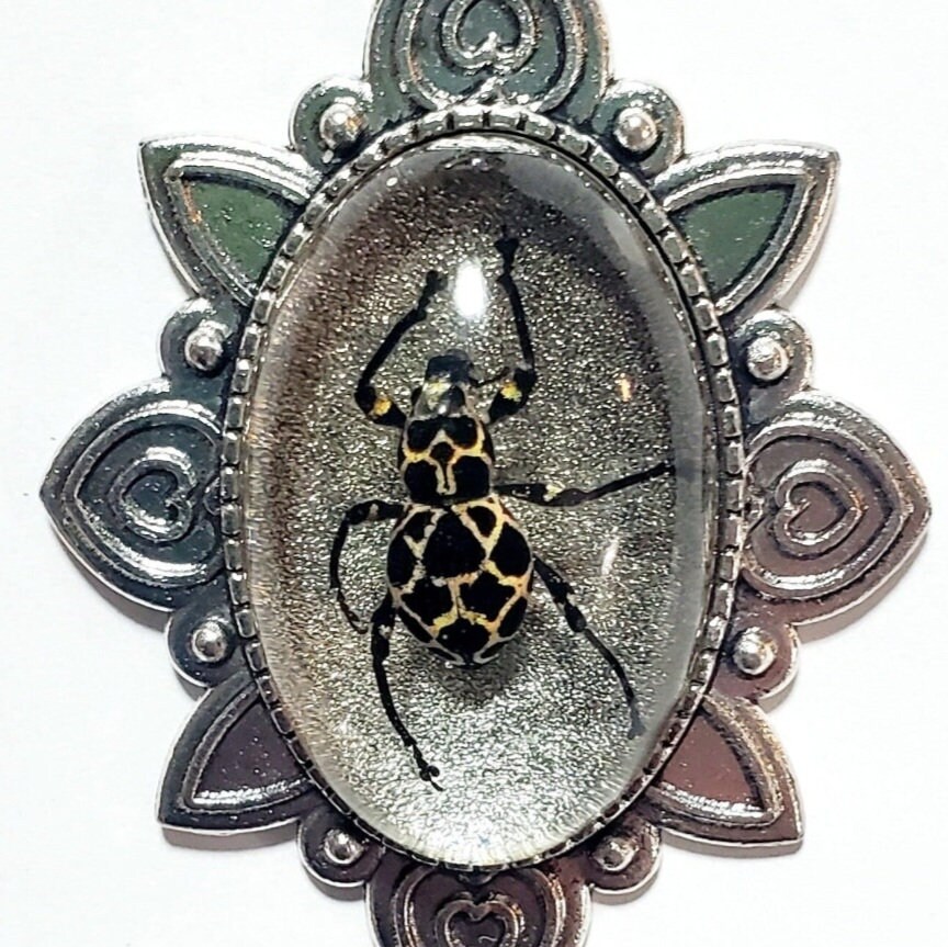 Weevil, Beetle Necklace, Bug Jewelry, Insect Pendant, Bug Necklace ...
