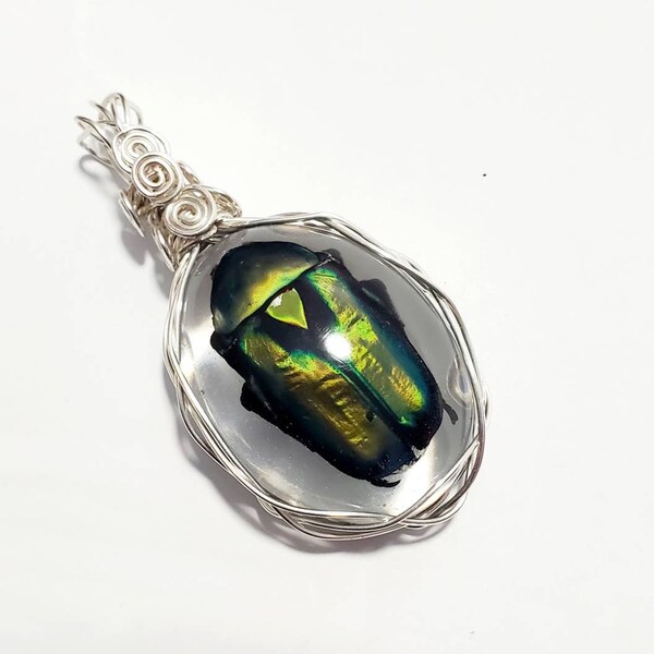 Insect Jewelry - Etsy