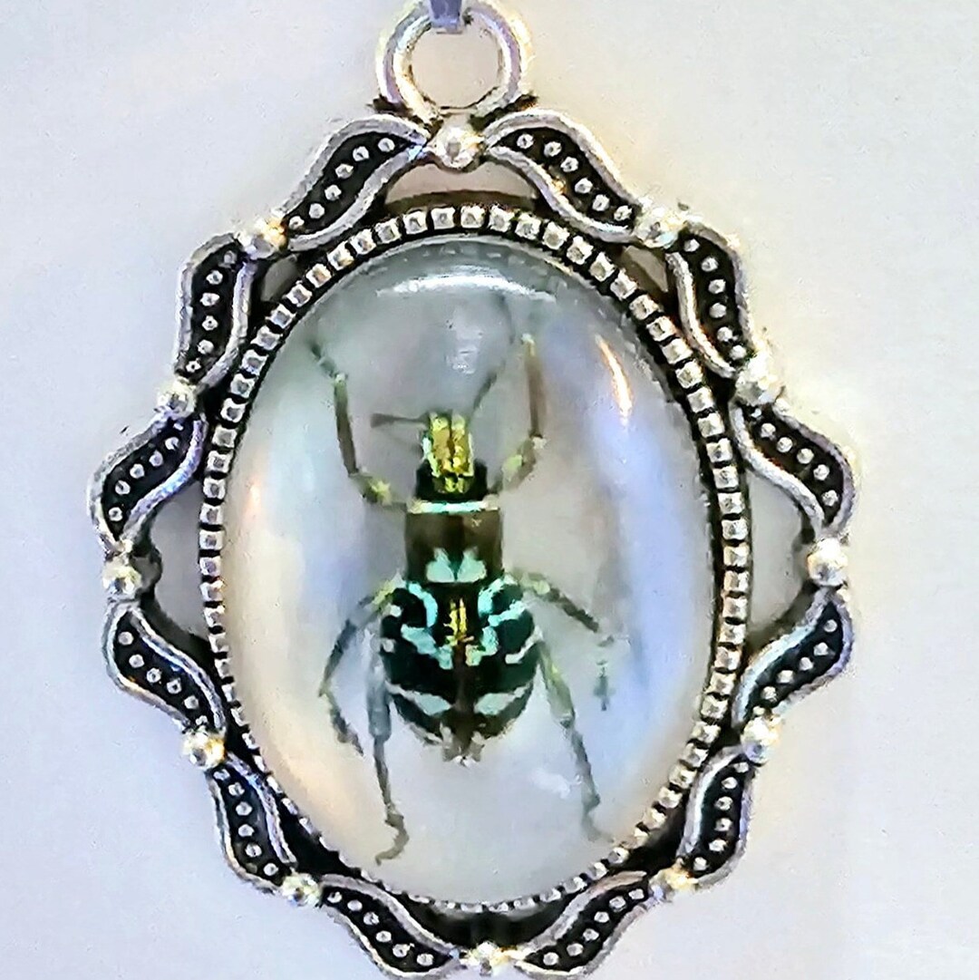 Weevil, Weevil Necklace, Bug Jewelry, Insect Pandant, Bug Necklace ...