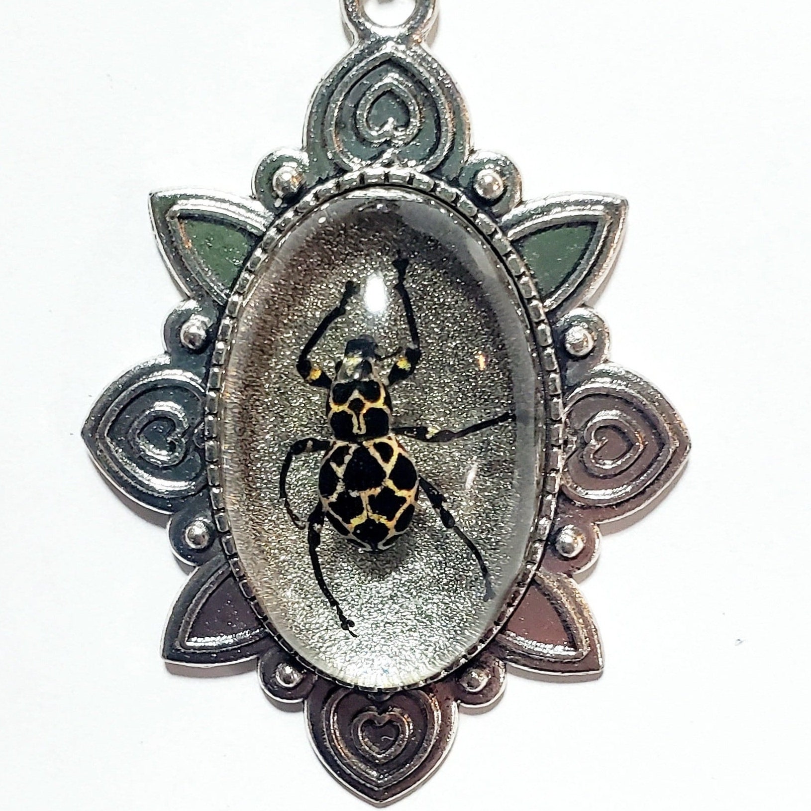 Weevil, Beetle Necklace, Bug Jewelry, Insect Pendant, Bug Necklace ...
