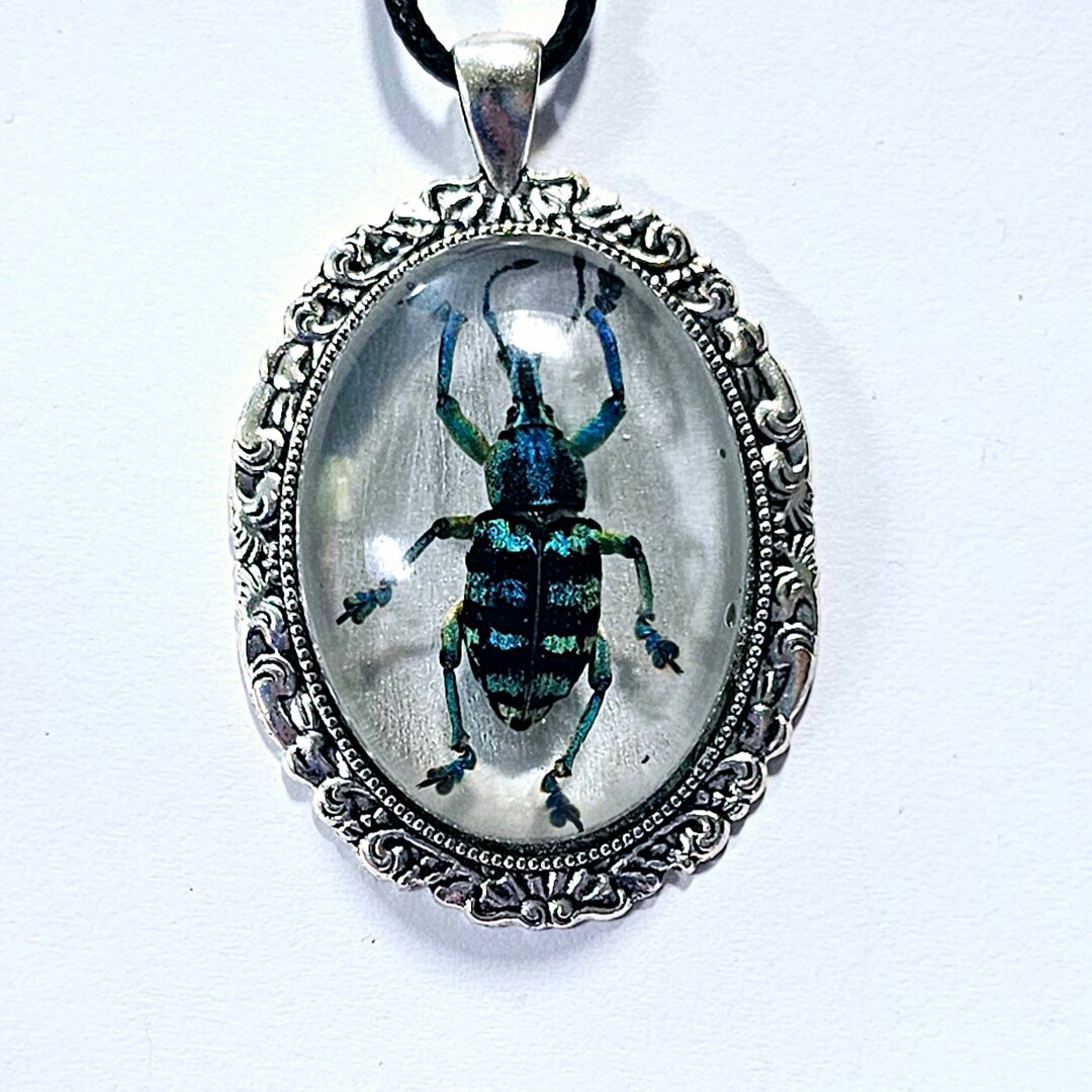 Weevil, Weevil Necklace, Bug Jewelry, Insect Pandant, Bug Necklace ...