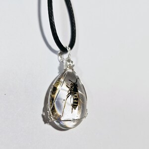 Bee Necklace, Insect Pendant, Bee Jewelry, Bee Pendant, Insect Jewelry ...