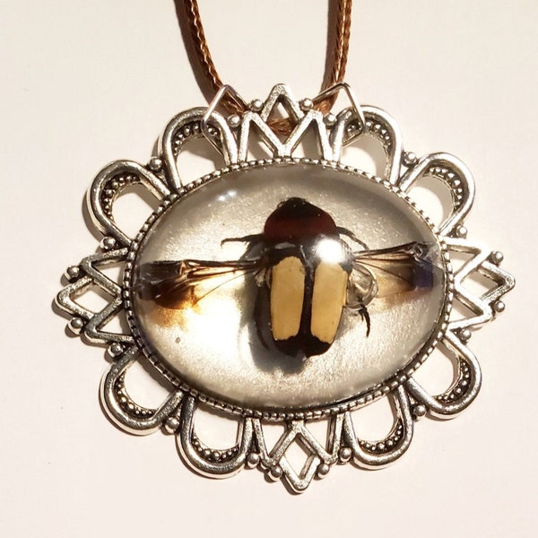 Insect Jewelry - Etsy
