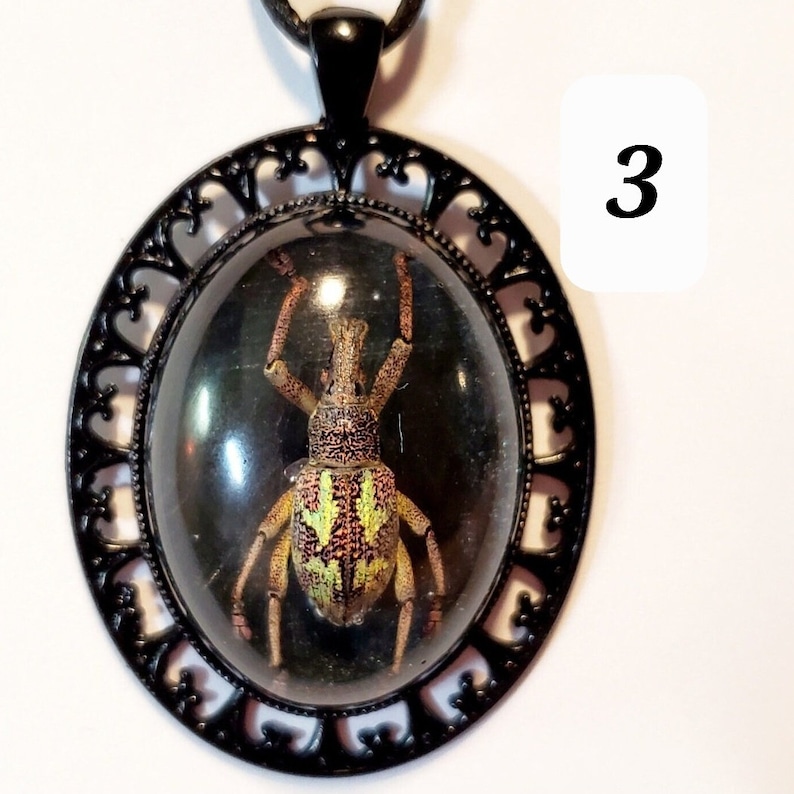 Sea Green Weevil Pendant, Beetle Necklace, Bug in Resin - Etsy