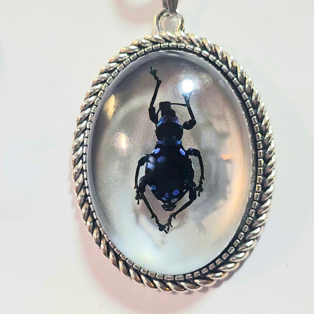 Weevil, Beetle Necklace, Bug Jewelry, Beetle Jewelry, Insect Pendant ...
