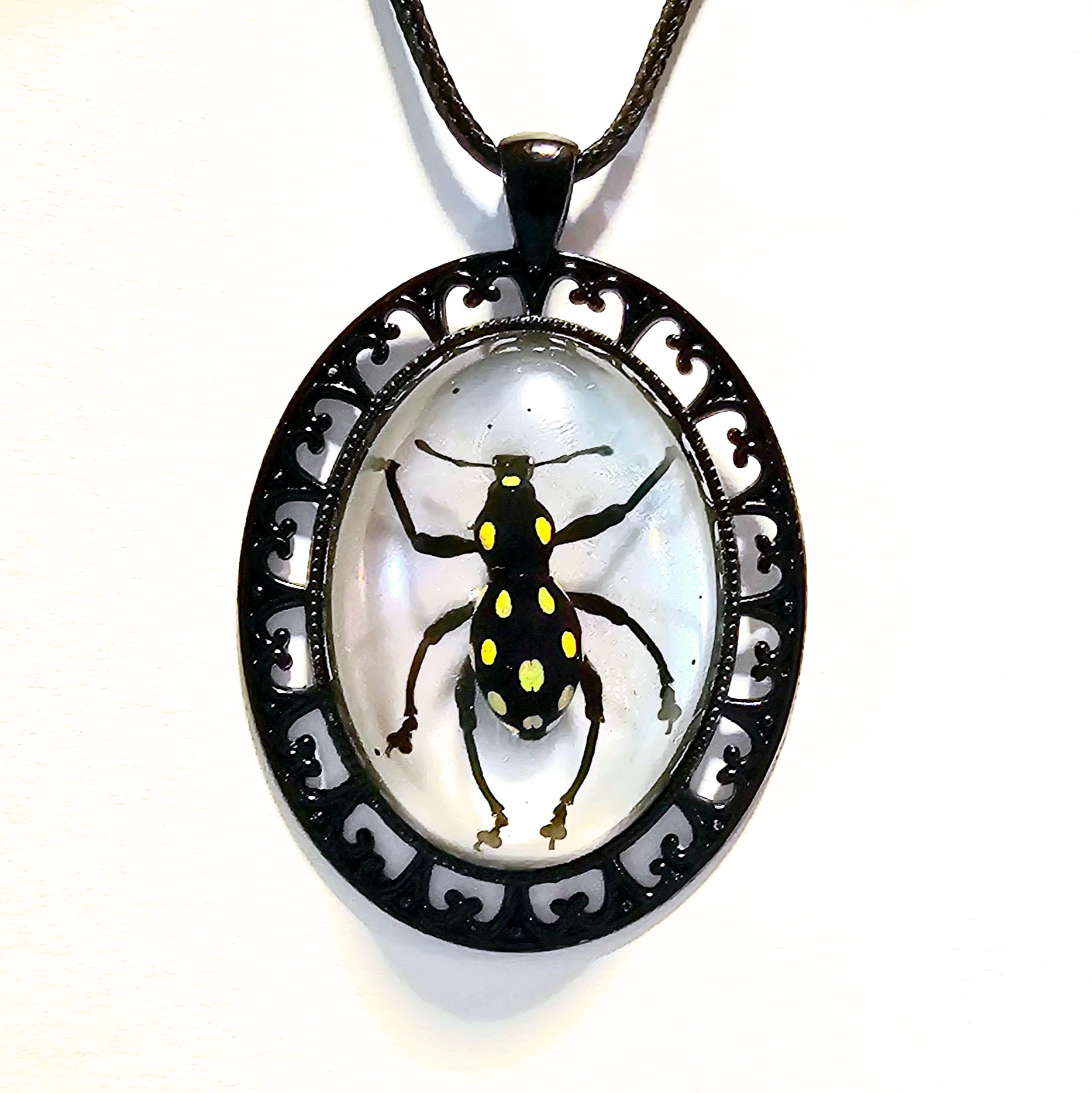 Weevil Jewelry, Real Beetle, Beetle Necklace, Insect Pendant, Bug ...