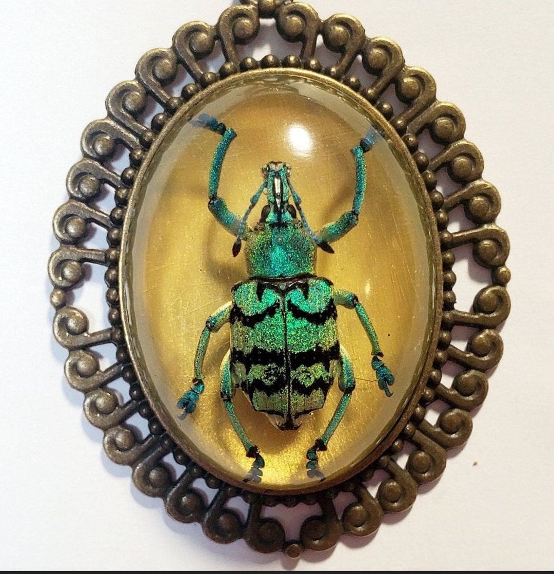 Weevil, Beetle Necklace, Bug Jewelry, Insect Pendant, Bug Necklace ...
